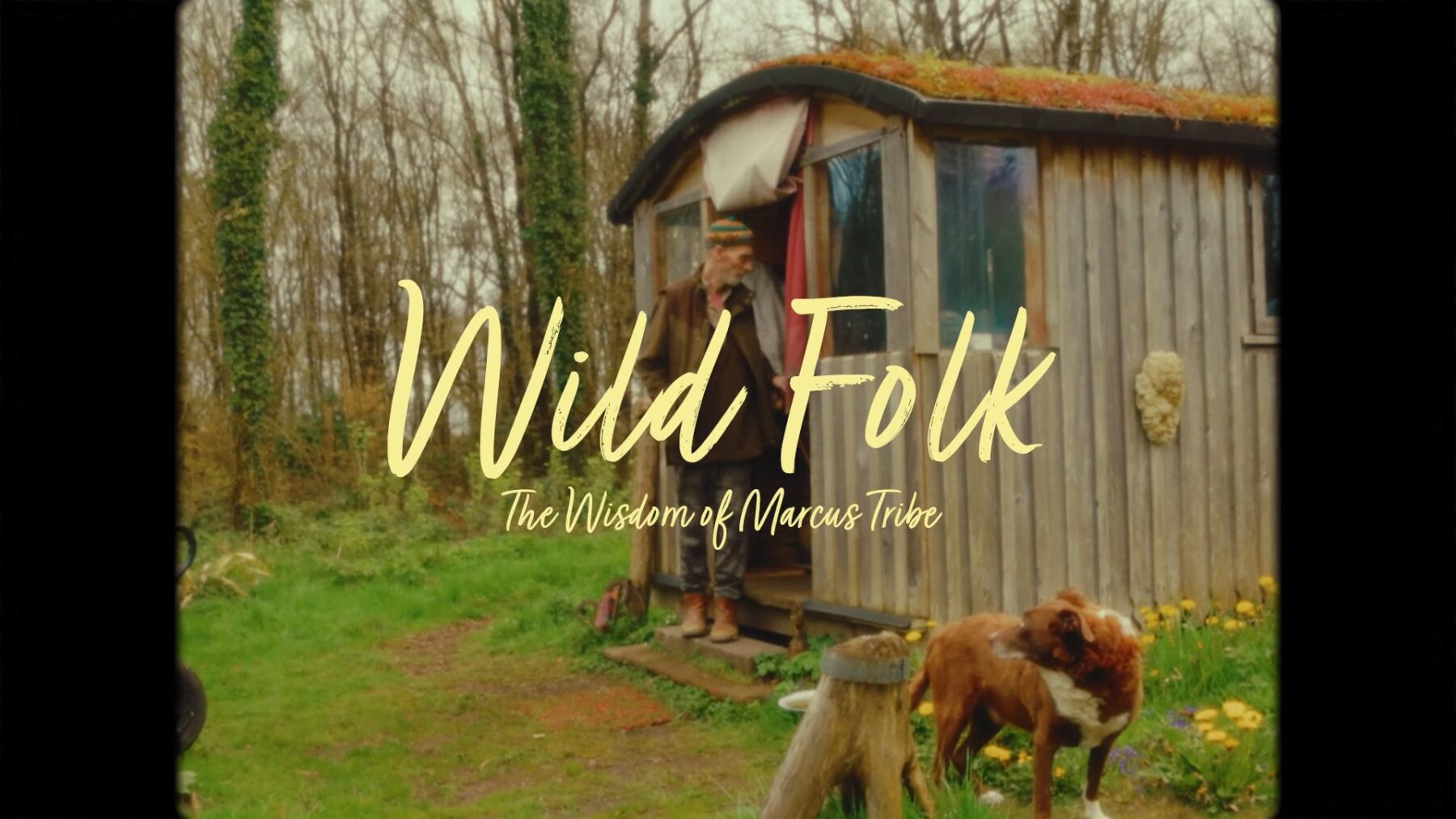 "Wildfolk" clocks up 68k views on YouTube - Manto